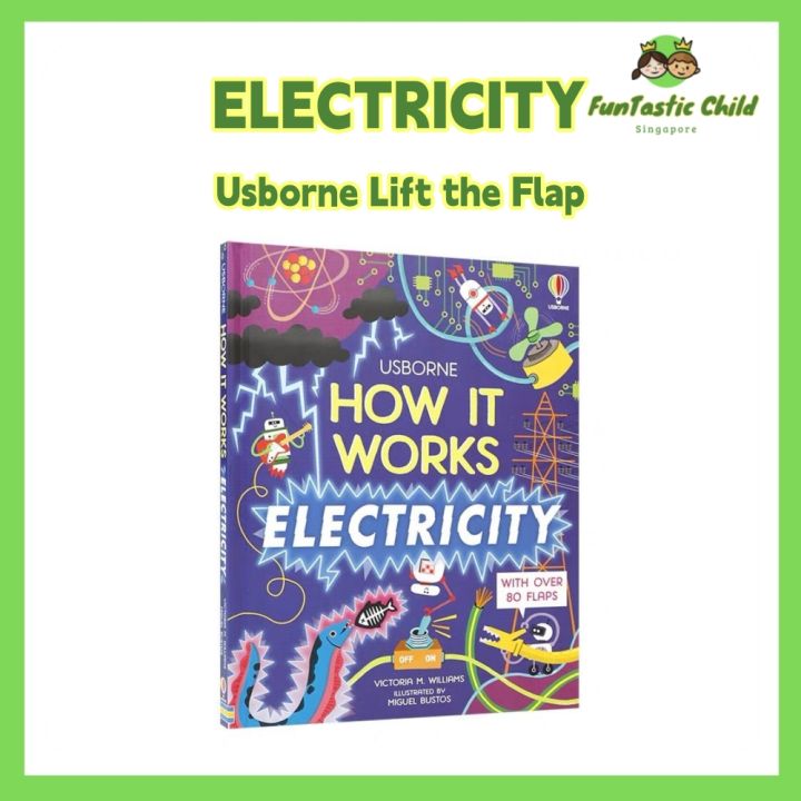 FunTastic Child Children Book Usborne How it works ELECTRICITY Lift the ...