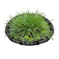 Floating Plant Corral Floating Island Plant Protector Pond Netting ...