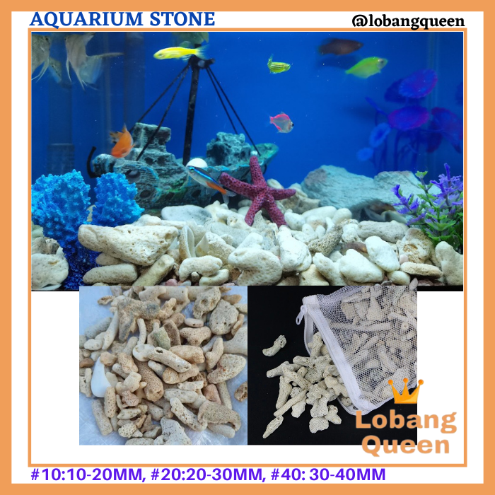 Coral Aquarium Filter Media Stone 珊瑚石 | Lazada