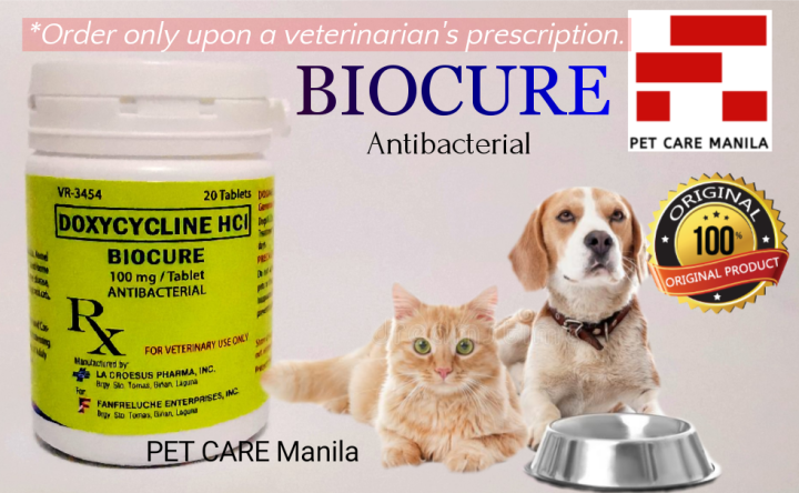 BIOCURE Antibacterial 20 TABLETS | Lazada PH