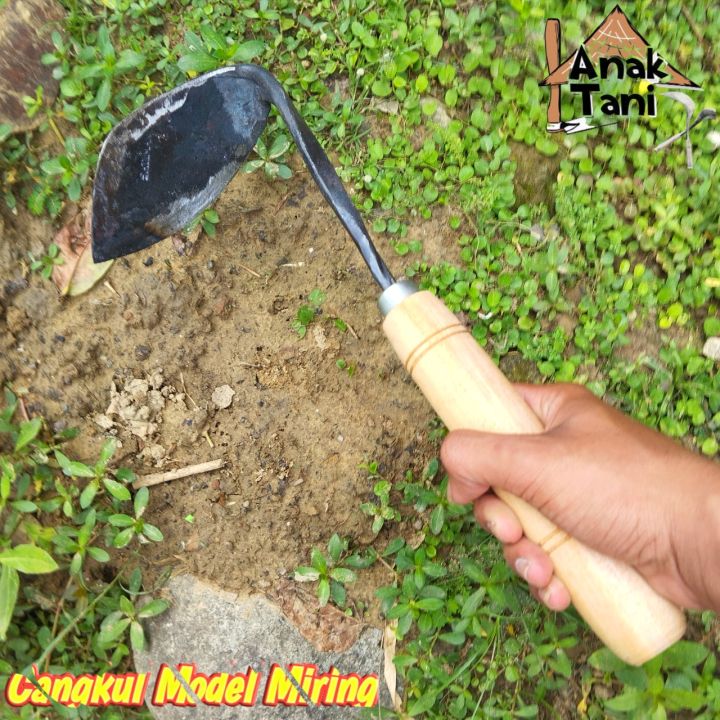 Cangkul model miring - koret rumput bahan baja - cangkul tanah - gatul ...