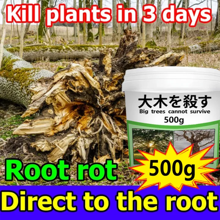 Root Rot! tree killer 500g concentrated formula can kill trees weeds ...