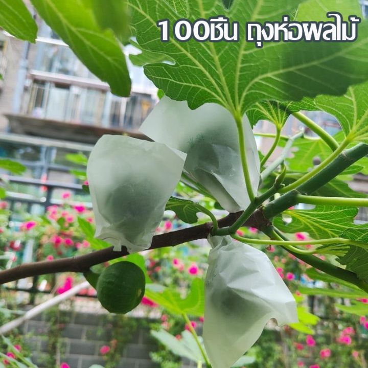 【Lifefree】100ชิ้น ถุงห่อผลไม้ สามารถนำกลับมาใช้ได้อีก ลดต้นทุนการผลิต ...