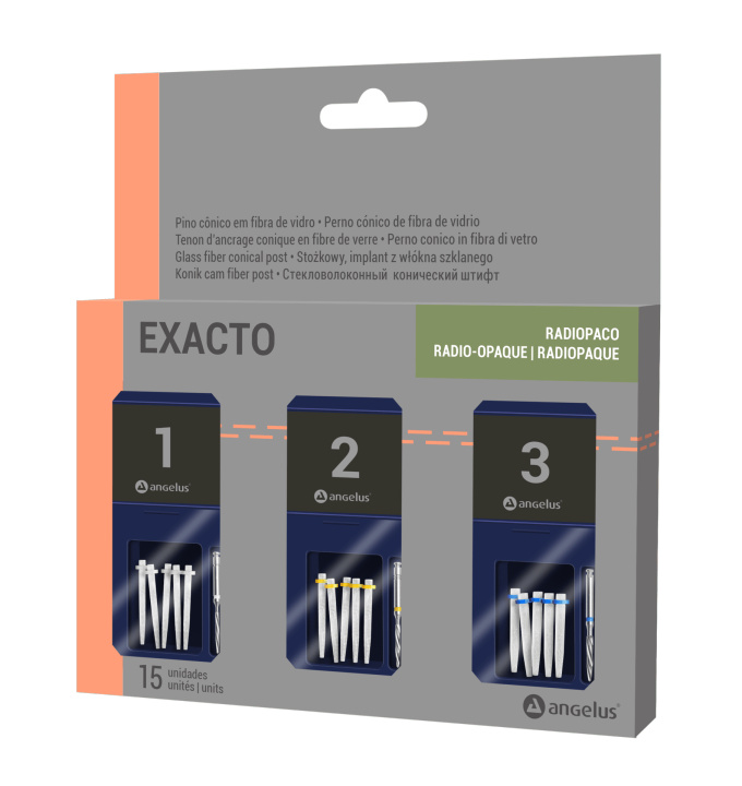 ANGELUS Exacto Intro Kit | Lazada