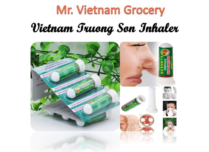 Vietnam Trường Sơn Nasal Inhaler 越南长山牌通鼻筒薄荷棒 | Lazada
