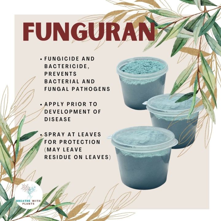 Funguran-OH Fungicide Nordox 50 WP Furadan Nematicide | Lazada PH