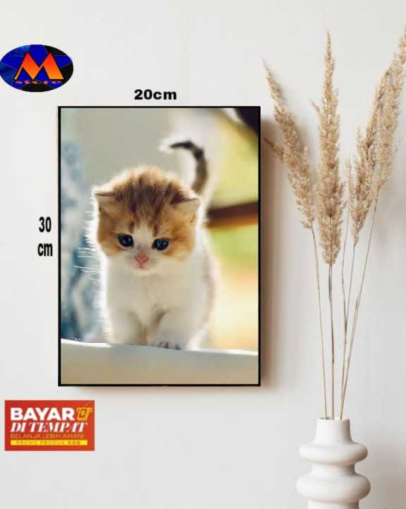 HIASAN DINDING GAMBAR KUCING LUCU/HIASAN DINDING TEMA KUCING/POSTER ...