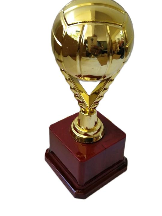 2021-VolleyBalll Round Trophy Gold 19 CMS | Lazada PH