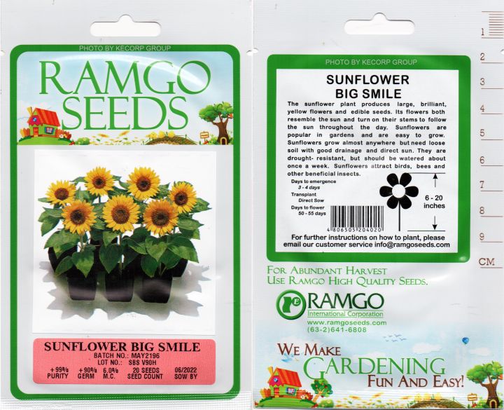 Ramgo Flower Seeds RCF SUNFLOWER BIG SMILE APPROX COUNT: +/- 20 seeds ...