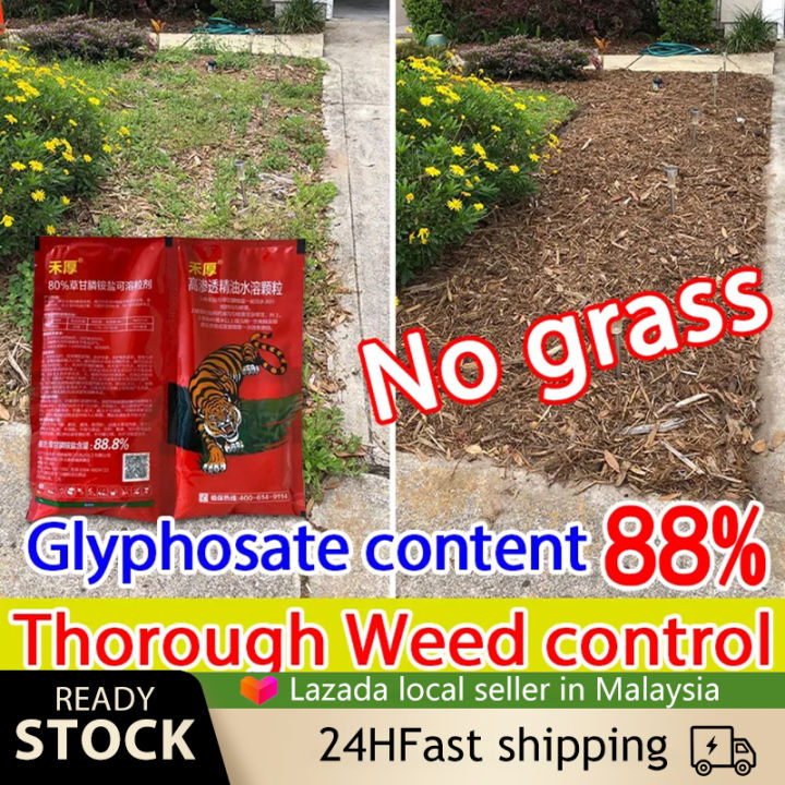 weed killer 100g 88% Glyphosate Fast action Long lasting Death from the ...