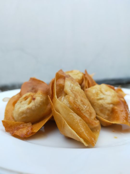 Pangsit Goreng / Wonton / Pangsit Frozen / Makanan Beku | Lazada Indonesia