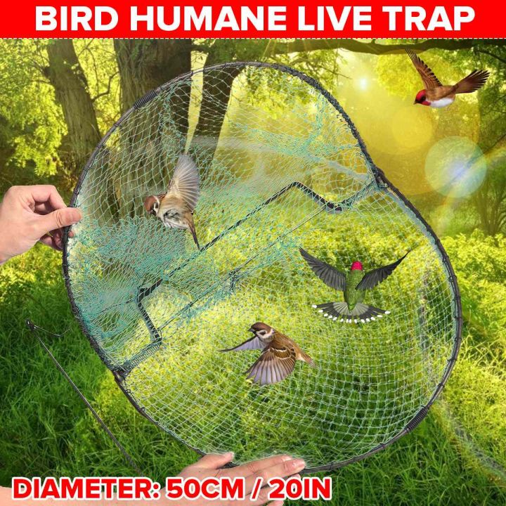 49x30cm Bird Net Humane Live Trap Effective Hunting Sensitive Quail ...