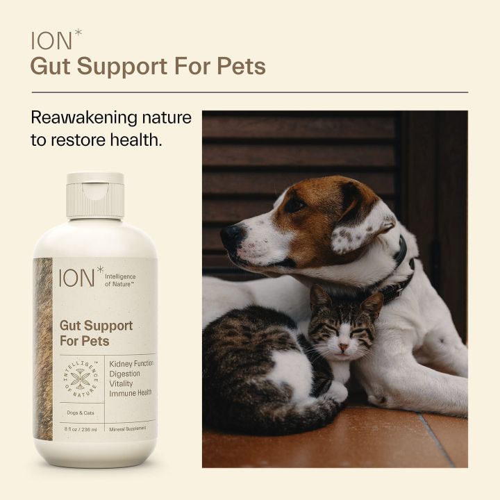 [PRE-ORDER] GUT SUPPORT FOR PETS FOR DOGS AND CATS 16 FL OZ (437 ML) BY ...