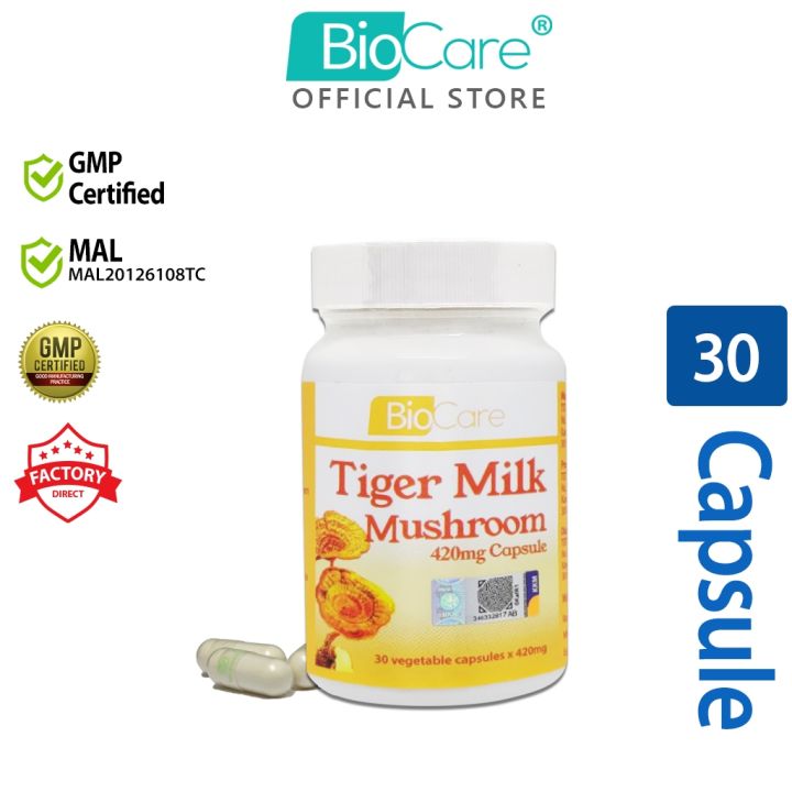 Biocare Tiger Milk Mushroom Capsule KKM Approved (30 Capsules)☀ | Lazada