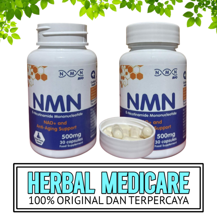 Nmn Bio B- Nicotinamide - 500mg - 30 Capsules - Asli Original ...