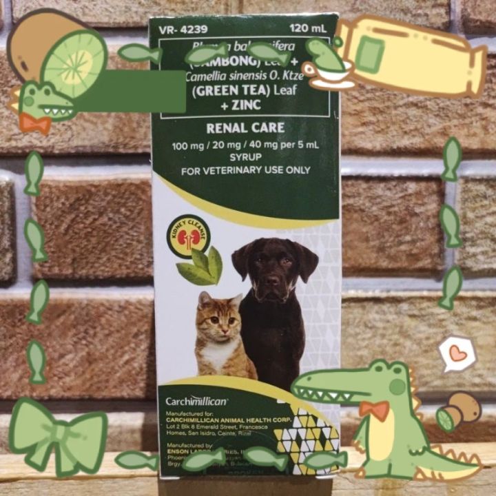 Renal Care Syrup Performance Enhancer for Dogs and Cats (120ml) | Lazada PH