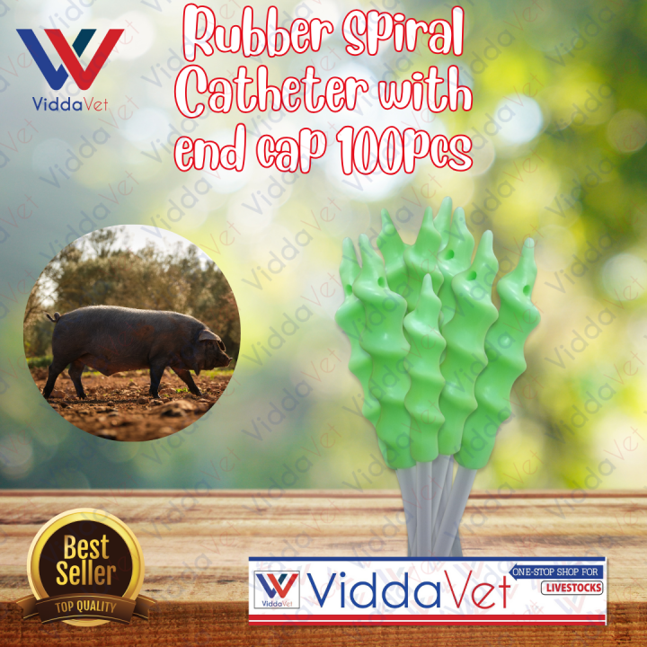 Viddavet Pig AI supplies Pig Spiral Catheter with end cap 100pcs for ...