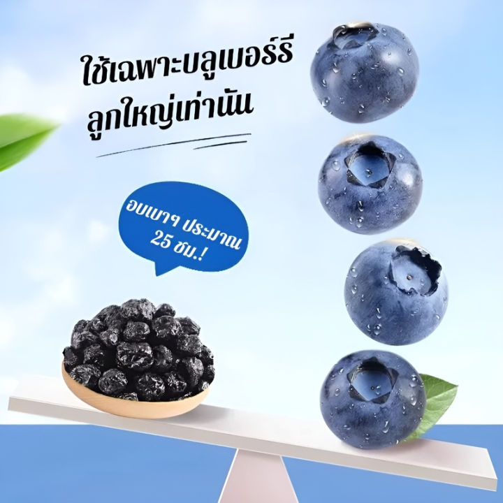 🫐บลูเบอร์รี่แห้ง ปราศจากน้ำตาล ไม่มีการเติมบลูเบอร์รี่ป่า บลูเบอร์รี่ ...
