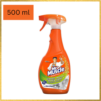 Mr. Muscle Mold & Mildew Cleaner Primary 500ml | Lazada PH