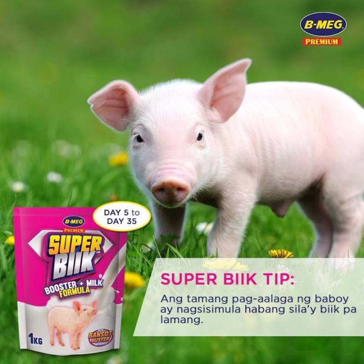 Super Biik 1kg – All-In-One Supplement for Pig Health | Lazada PH