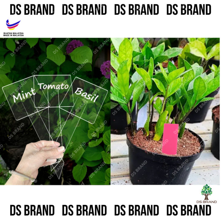 Penanda Pokok Acrylic / Plant Label Tag / Tanda Nama Pokok Bunga | Lazada