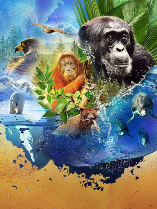 แผ่น DVD หนังใหม่ Animal Season 2 (2022) สัตว์มหัศจรรย์ 2 (4 ตอน ...