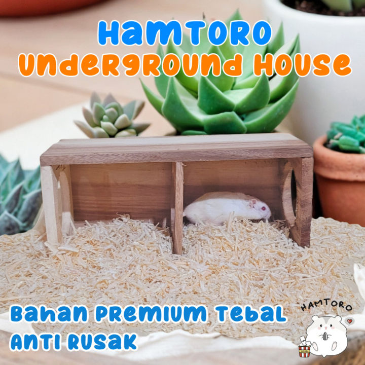 Underground House BESAR Rumah Bawah Tanah Hamster, Landak mini | Lazada ...