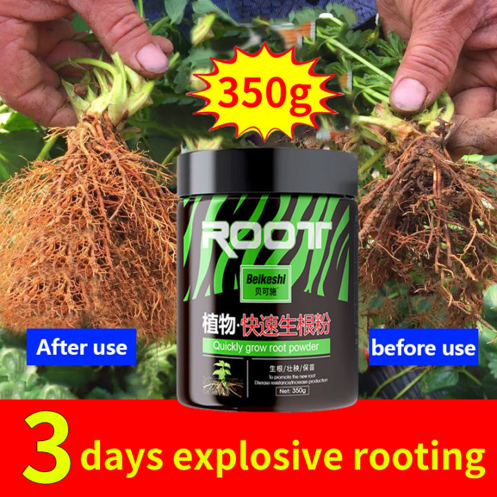 rooting powder for plants 350g rooting powder rapid growth fertilizer for plant super growth ...