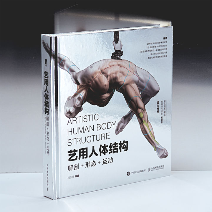 Artistic Anatomy and Morphological Movement of Human Body Structure Liu ...