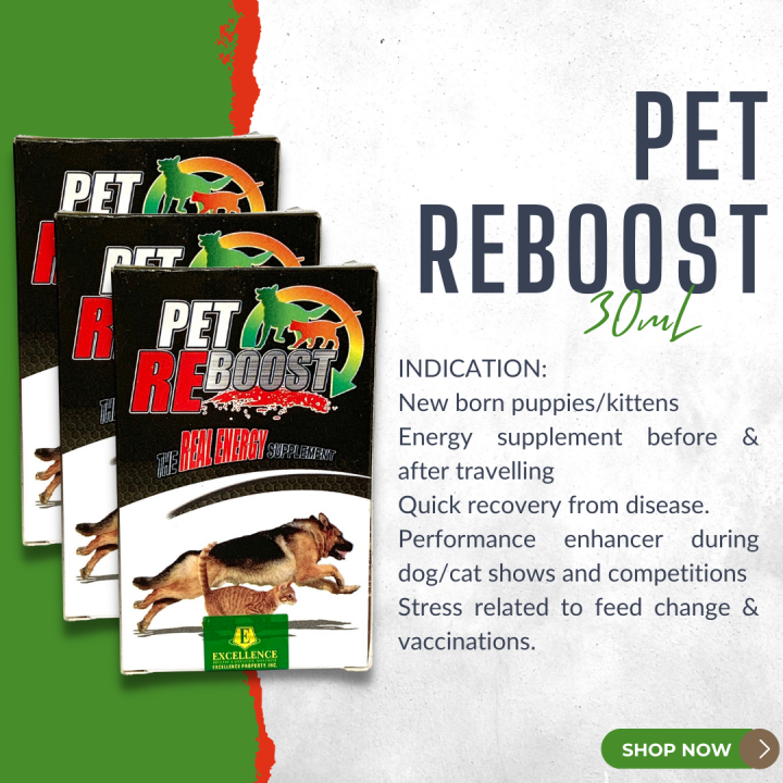 [AGRIVET] 3boxes Pet Reboost Oral Solution - Performance Enhancer for ...
