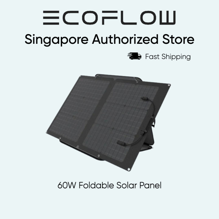 EcoFlow 60W Portable Solar Panel | Lazada Singapore
