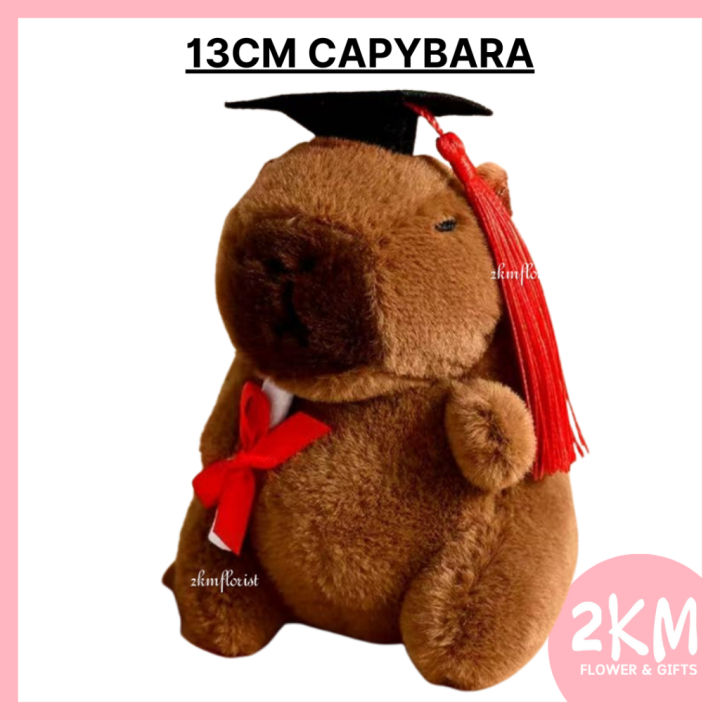13cm CAPYBARA GRADUATION BEAR Plush Toy Cute Capibara Plushie Toy Anak ...