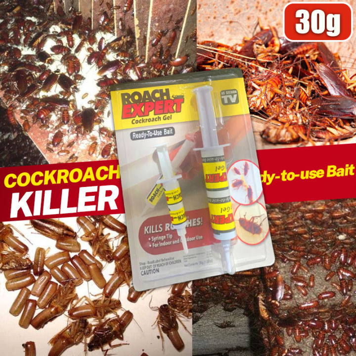 ff Cockroach Killer Bait Cockroach Trap Cockroach Killing Gel Bait ...