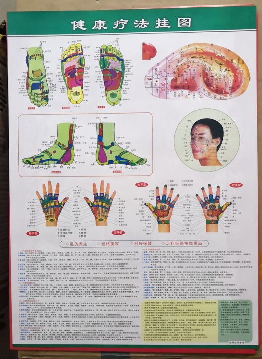 Standard meridian and acupoint position map of human body Moxibustion ...