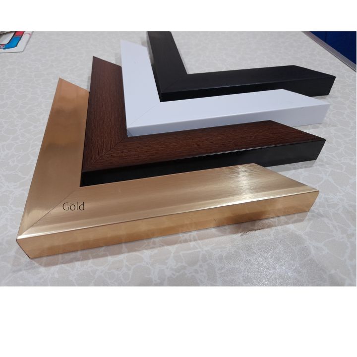 PREMO Elegant Frame 18x24 inch- 16R-20R-24R Portrait Poster size Frame ...