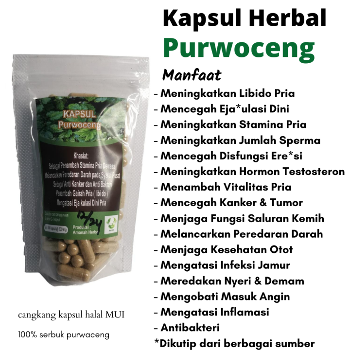 kapsul purwaceng isi 100 kps / purwaceng kapsul / herbal purwaceng ...