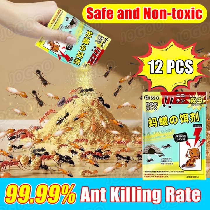 Power Ant Killing Bait Powder Effective Insect Killer 24PCS Green Leaf ...
