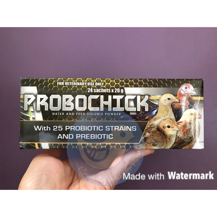 NEW ⊙ Excellence Probochick Water Soluble Powder 20g Sachet Probiotic ...