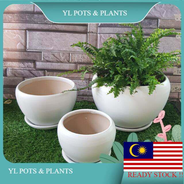 YL Apple Ceramic Pot White Pasu Seramik Epal Putih Pasu Gubahan Orkid ...