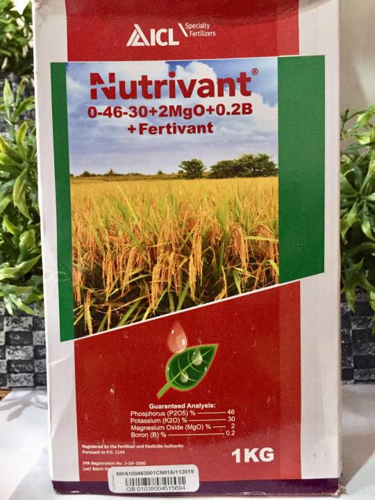 Nutrivant 0-46-30+2MgO+0.2B+Fertivant 1kg | Lazada PH