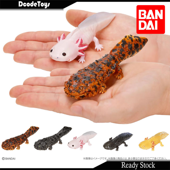 BANDAI Axolotl Salamander 娃娃鱼 蝾螈 Gashapon gasha amphibians lizard ...