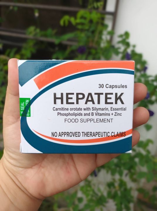 Hepatek with Silymarin, Essential Phospholipids and B Vitamins + Zinc ...
