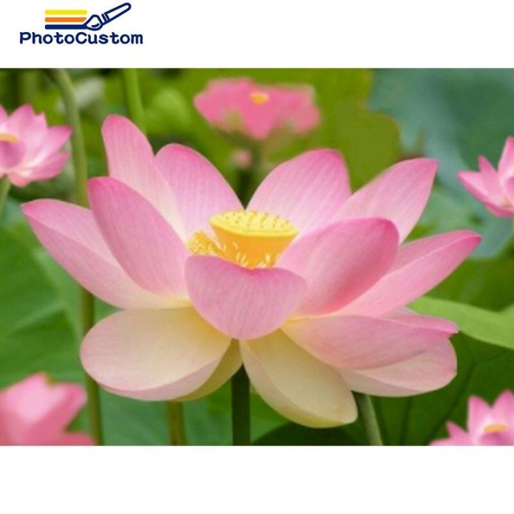 PhotoCustom DIY Diamond Painting Lotus Full Square New Arrival Diamond ...
