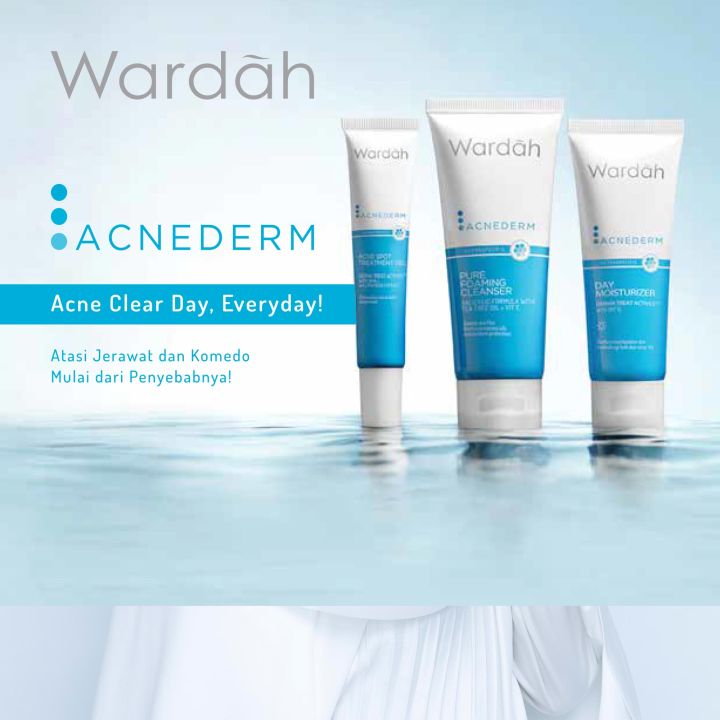 Wardah Acnederm Series - Pure Foaming Cleanser / Acne Spot Treatment ...