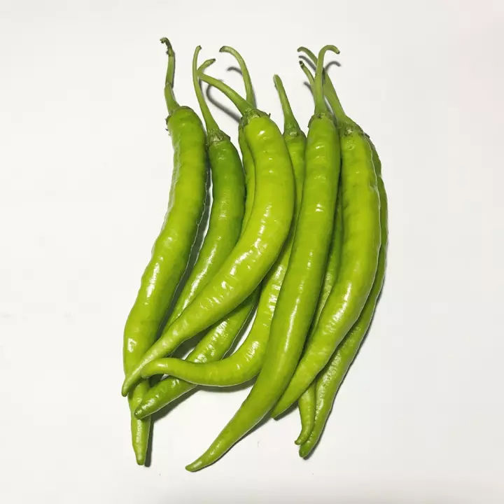 sili haba local long chili chilli finger pepper plant seeds | Lazada PH