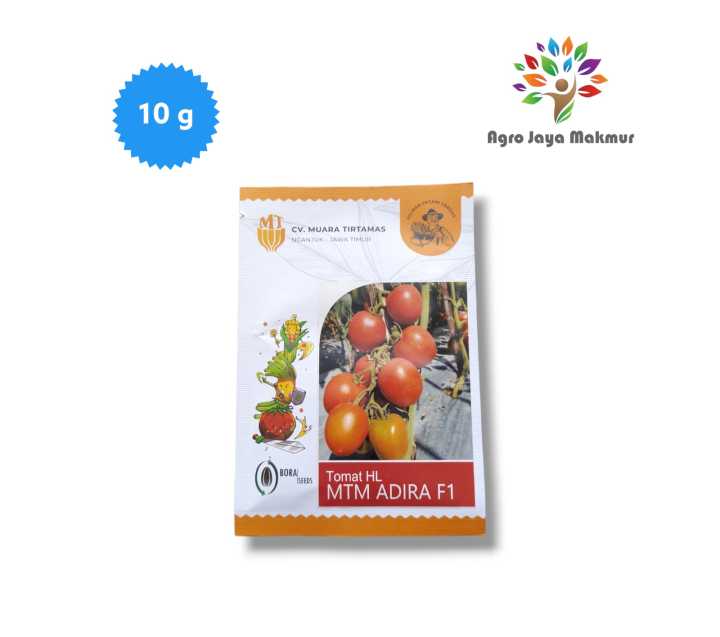 Benih bibit tomat Adira f1 MTM isi 10 gram benih tomat unggul | Lazada ...