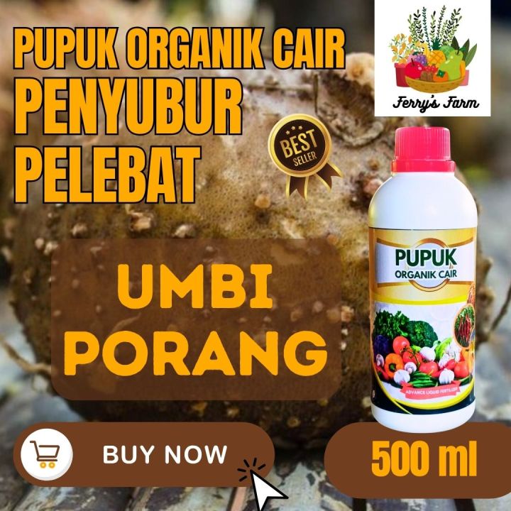 Pupuk Umbi Porang Pupuk Pembesar Umbi Porang Pupuk Tanaman Umbi Porang ... Pupuk Umbi Porang Pupuk Pembesar Umbi Porang Pupuk Tanaman Umbi Porang ...