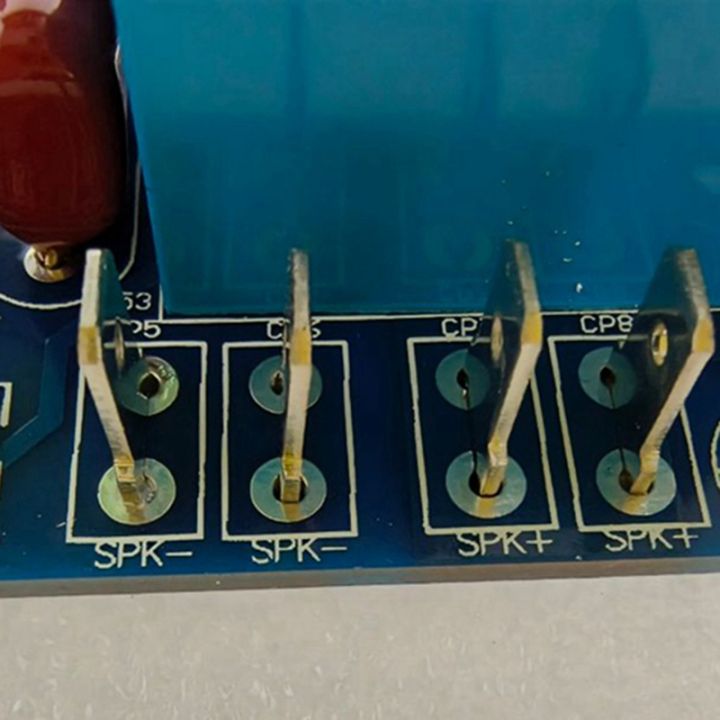 1000W Class D Power Amplifier Board Mono Power Amp Board with Switching ...