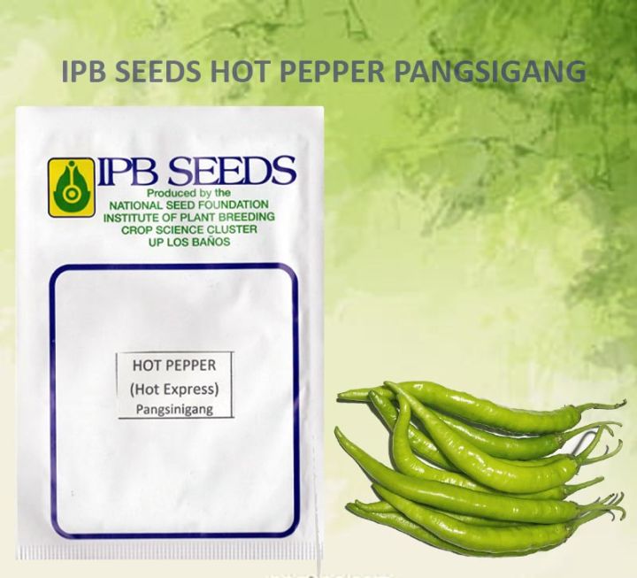 IPB UPLB Seeds Hot Pepper (Hot Express) Pangsinigang 2g | Lazada PH