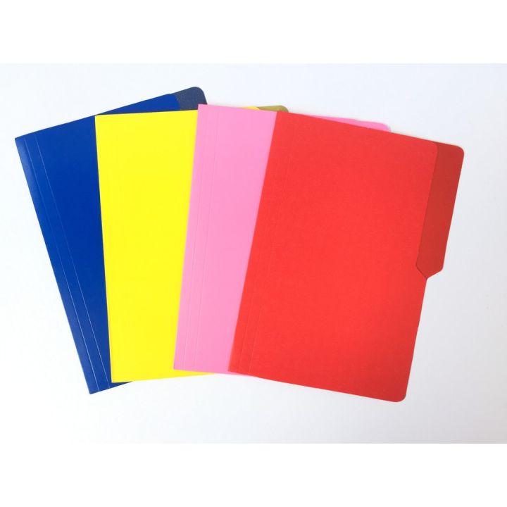 1 pack FILE FOLDER ASSORTED COLOR LONG (12pcs) | Lazada PH